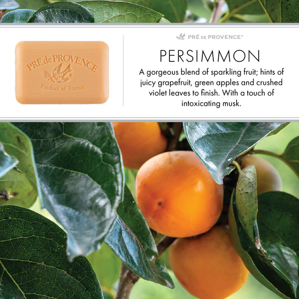Wholesale Persimmon Soap Bar - 25g, 150g, 250g – European Soaps